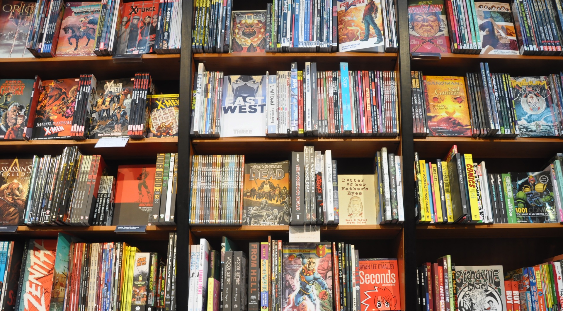 Comics as Literature Part 2: Literary Graphic Novel Canon – Bloom Reviews